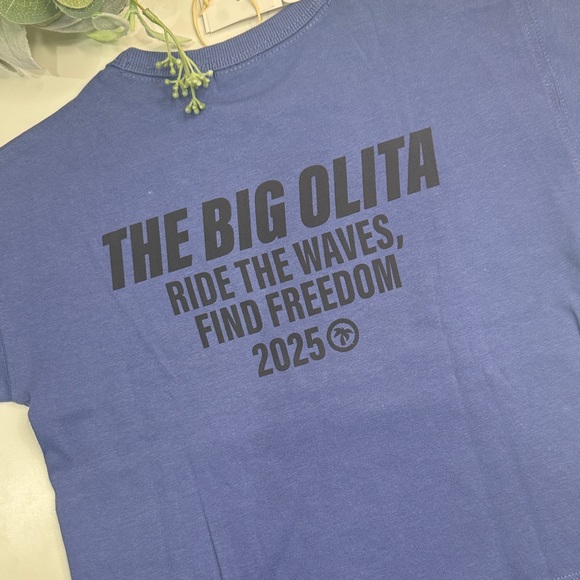 Zara | Shirts & Tops | Zara Big Olita Tee | Poshmark